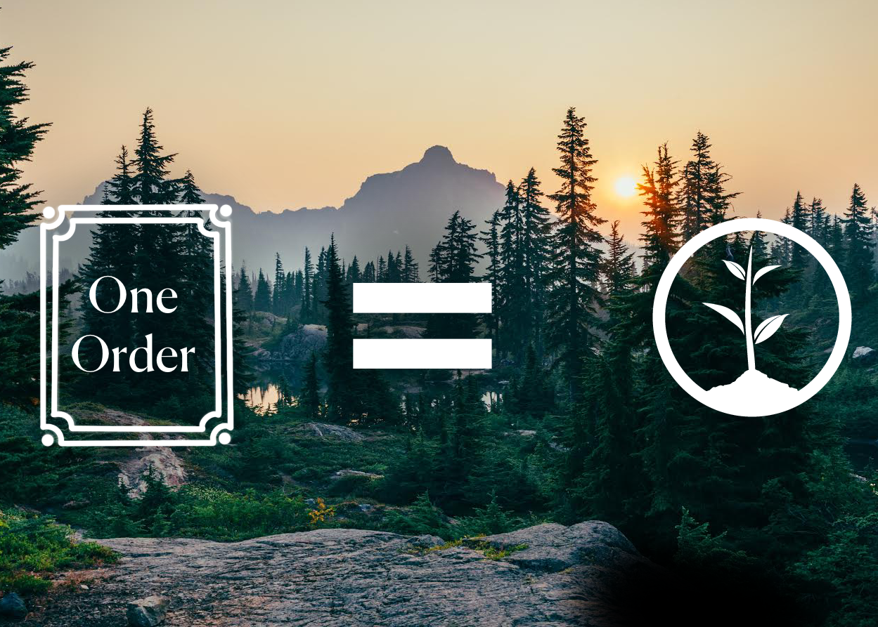 OneTreePlanted Partnership – Skyframe